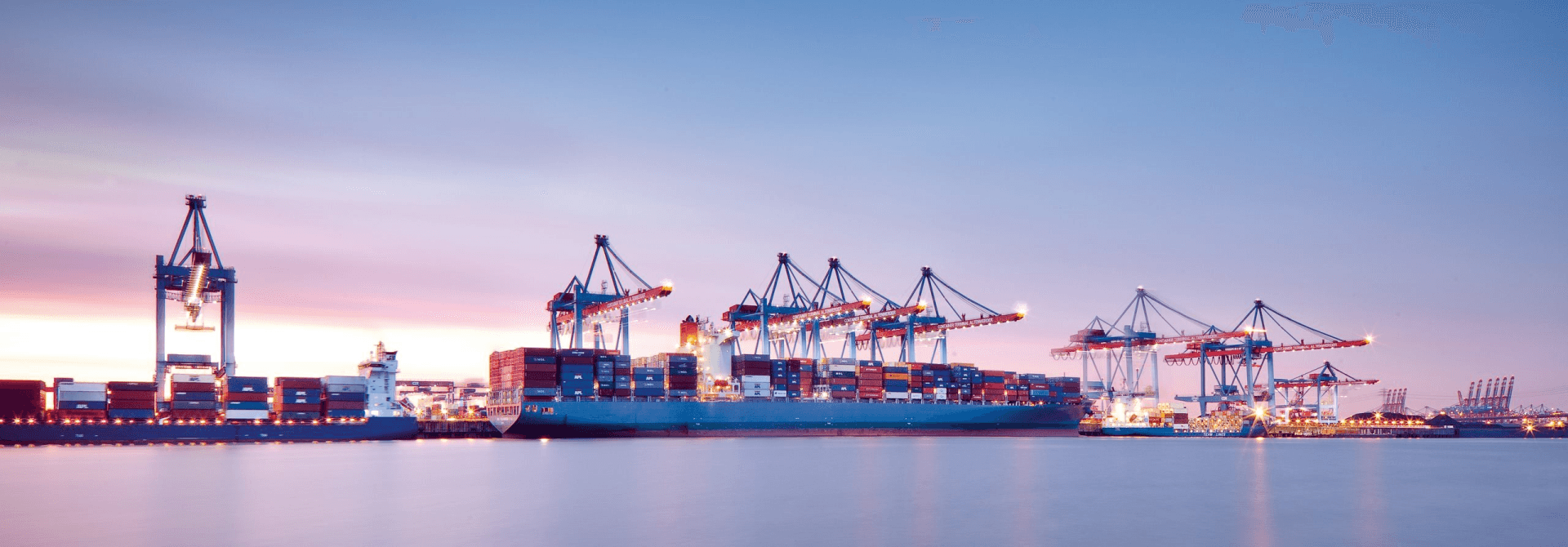 Delfin Group - Sobre Nosotros