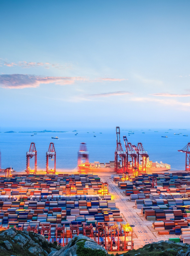 Delfin Group - Sobre Nosotros